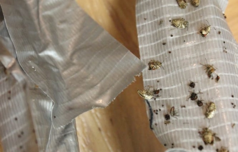 20 Genius Duct Tape Tricks You Need To Know About Betterbe