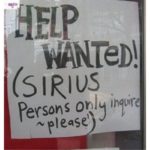 The Most Hilarious Job Ads That Make Everyone Want To Apply - BetterBe