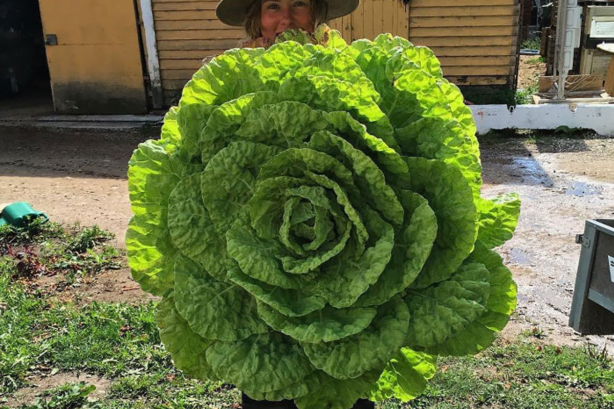 People Who Won The Food Lottery