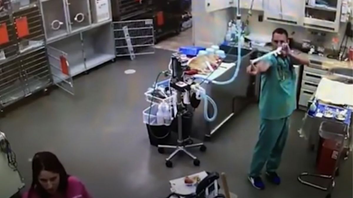 This Man Wanted To Prank His Colleague, But It Backfired And It's ...